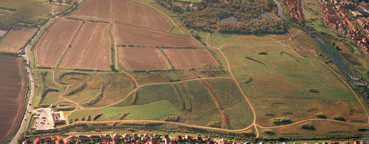 Gunpowder Park – Haring Woods Studio